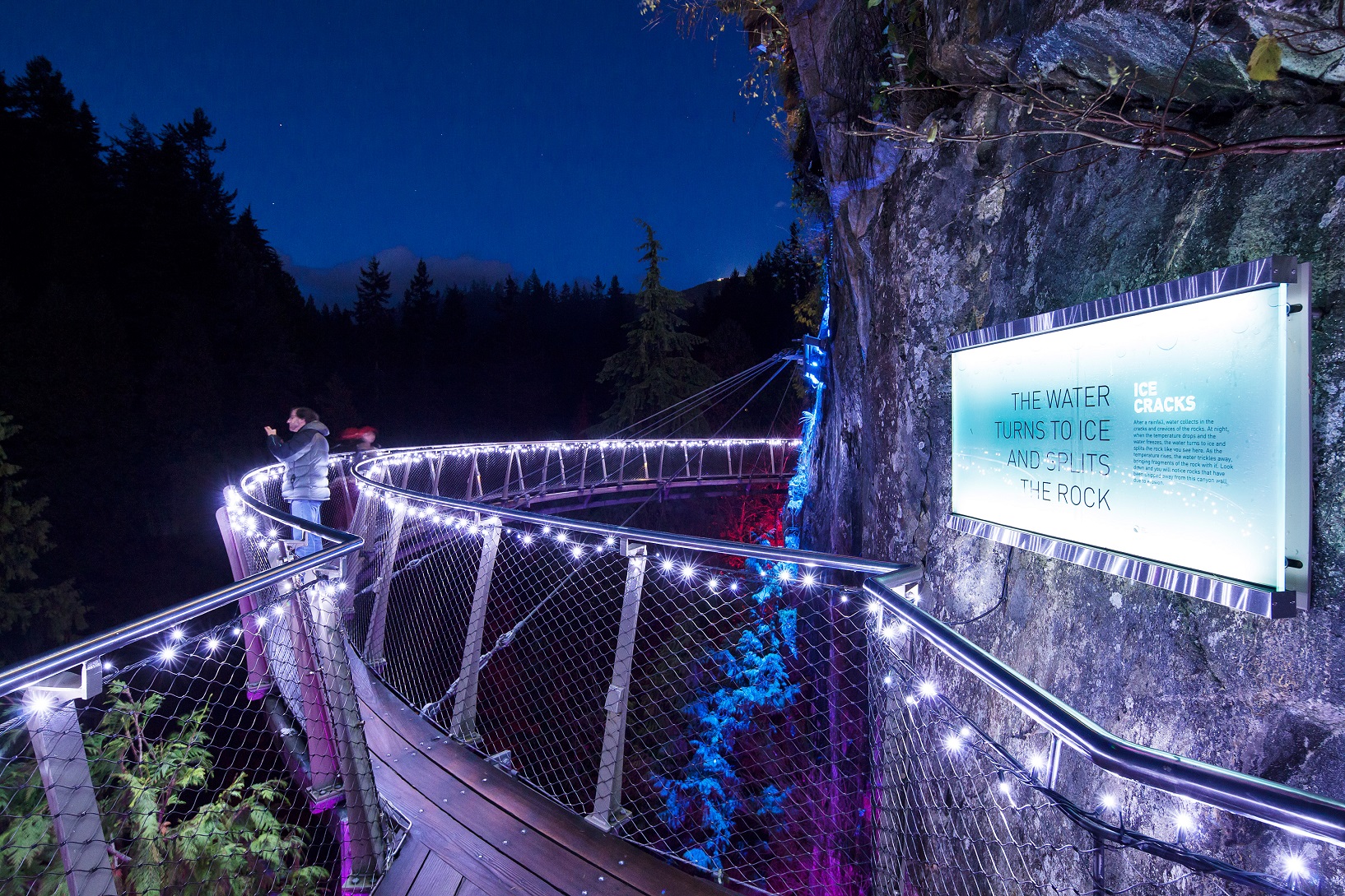 Canyon Lights, Capilano Suspension Bridge Park -Vancouver – Mazda